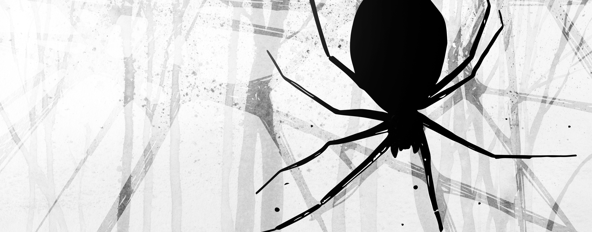 The Black Spider Judith Weir | WNO