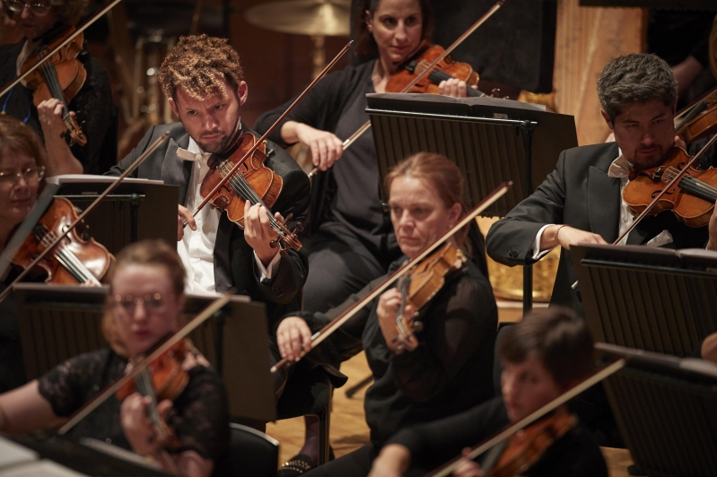 The secret life of an orchestra member | WNO