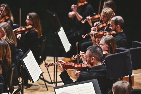 WNO Orchestra | WNO